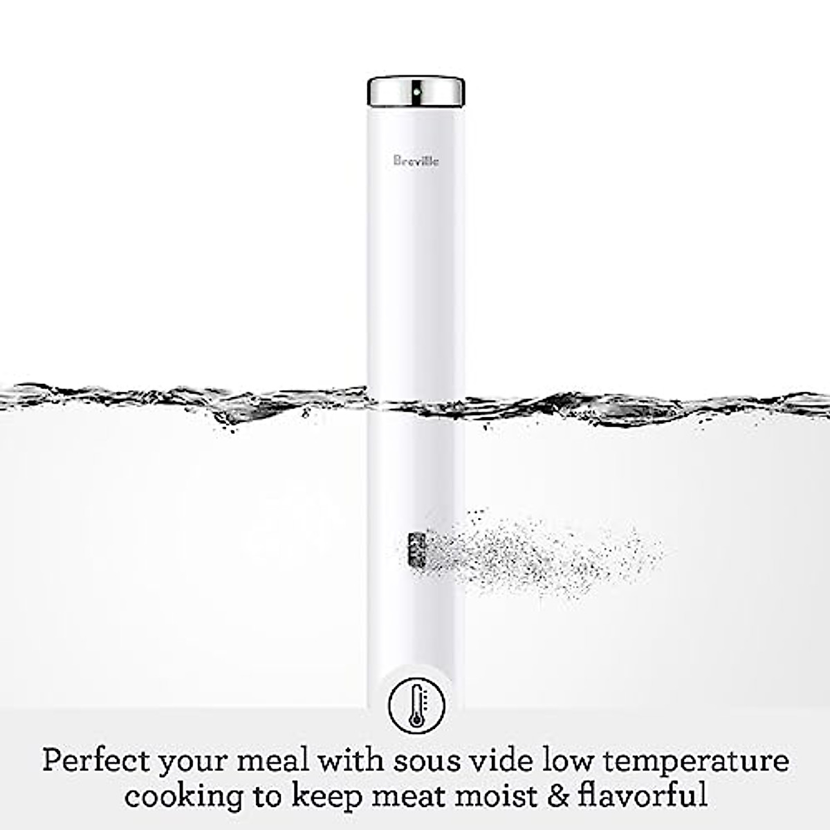 Breville the Joule Turbo Sous Vide Machine, Sous Vide Cooker, Immersion Circulators, BSV600