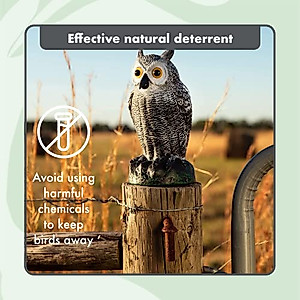Fake Owl Decoy and Bird Deterrent - Set of 3 Plastic Owl to Scare Birds Away - Effective Bird Deterrent Devices as Scarecrow for Garden - Bird Repellent Devices Outdoor, Keep Birds Away!