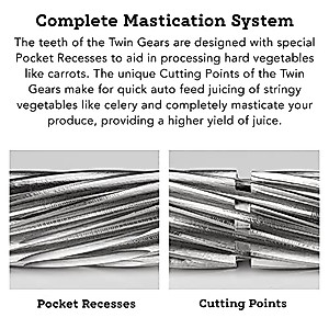 Tribest Greenstar GSE-5050 Elite Slow Masticating Juicer, Twin Gear Cold Press Juicer & Juice Extractor, Chrome