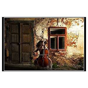 PPD Printable Fabric Sheets, Canvas Paper for Inkjet Printer, 11 x 17" Photo Fabric Printer Sheets, Print On 100% Real Cotton, Matte Finish, No Watermark, 340 gsm 125 lbs (10 Sheets)