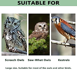 Prolee Screech Owl House Hand Made, 100% Cedar Wood Owl Box with Mounting Screws and A Bag of Wood Shavings, Easy Assembly Required (with Bird Stand)