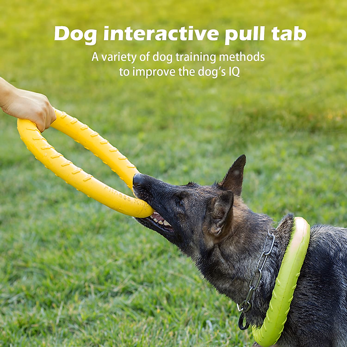 Dog Balls Toy for Aggressive Chewers (yellow ring)