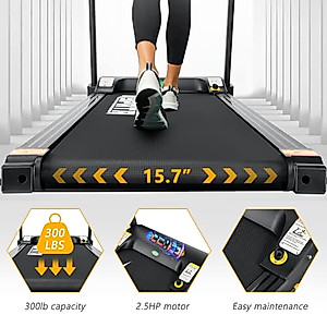 HYPATA Treadmill 300 lb Capacity,Max 2.5 HP Folding Treadmills for Running and Walking Jogging Exercise with 12 Preset Programs, 300 LBS Weight Capacity, Easy Assembly for Home Use