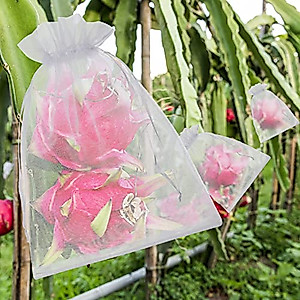 50 Pcs Fruit Protection Bags, 6x9" White Fruit Netting Bags for Fruit Trees Fruit Cover Mesh Bag with Drawstring, Netting Barrier Bags for Grapes Mango Fruit Trees Veggies Garden