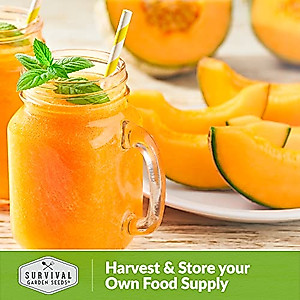 Survival Garden Seeds - Honey Rock Melon Seed for Planting - Packet with Instructions to Plant and Grow Sweet Delicious Cantaloupe Fruit in Your Home Vegetable Garden - Non-GMO Heirloom Variety