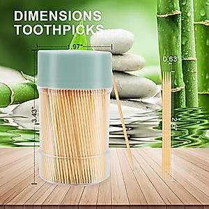 TRTRin Bamboo Toothpicks [3000 Count] - With Reusable Toothpick Holder, Sturdy Smooth Finish Tooth Picks, for Party, Appetizer, Olive, Barbecue, Fruit and Teeth Cleaning, Green.