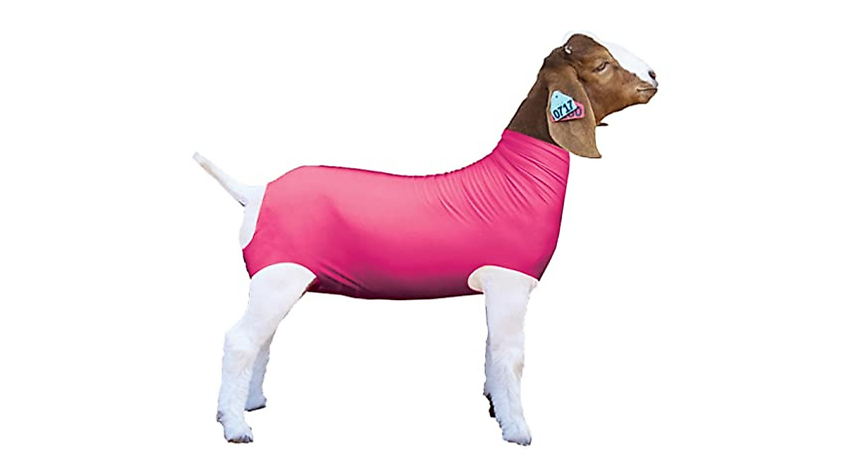 Show Pro Pink Spandex Goat Tube - Perfect Fit & Protect
