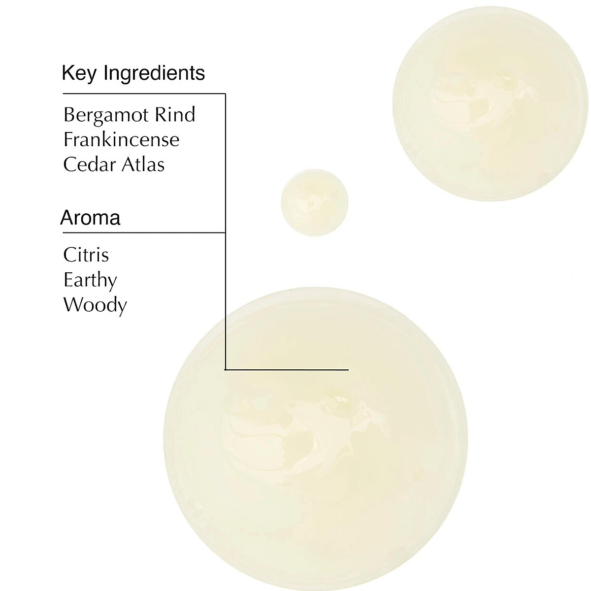 Aesop Shampoo and Conditioner Set - Earthy | Cleanser for All Hair Types and Scalp | Soft, Shiny, Fragrant Hair | Paraben, Cruelty-free & Vegan | 16.9 oz