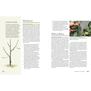 The Fruit Gardener's Bible: A Complete Guide to Growing Fruits and Nuts in the Home Garden