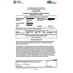 Luna Sundara - 100 g. Palo Santo Sticks from Peru Sustainably Wild Harvested Quality Hand Picked - (Approximately 12-20 Sticks) Includes a Reusable Drawstring Bag.