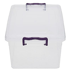 Home Basics Plastic Storage Box with Locking Lid, Clear | Durable Latches for Secure Closure | Purple Handles (10 liter)