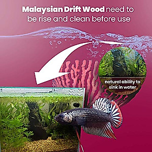 Dr. Moss Aquarium Small Malaysian Driftwood Luxurious Set for Fish Tank Decor, Real Wood Bogwood 5"-7" (2 Pieces)