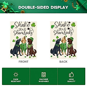 AVOIN colorlife Shake Your Shamrocks St Patricks Day Garden Flag 12x18 Inch Double Sided Outside, Dogs Clover Floral Yard Outdoor Flag