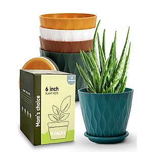 Goproauto 6 Inch Indoor Planter Pots with Drainage Hole and Tray Saucer,Flower Pots for Indoor Outdoor Garden Plants and Flowers, Multicolor, 5 Packs