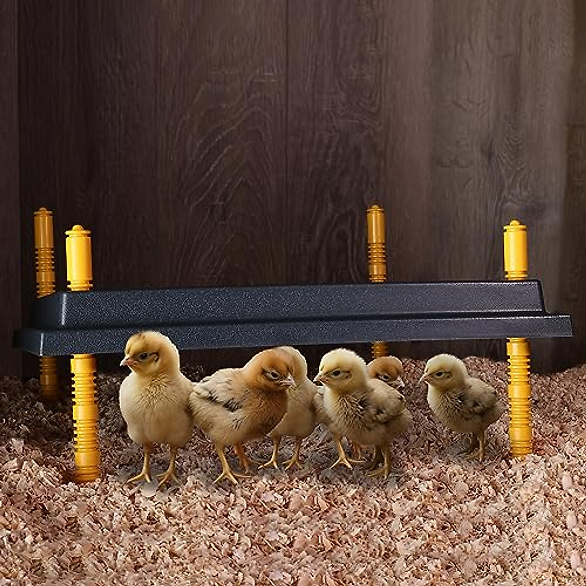 Rural365 Chick Heating Plate Brooder Plate - 10 Inch Brooder Heat Plate for Chicks and Ducklings with Adjustable Height