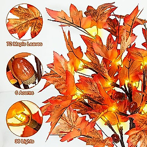 FastDeng 1.5ft Lighted Maple Tree, Artificial Fall Maple Tree with 36 LED Lights, 72 Leaves,6 Acorns, Autumn Tabletop Tree with Burlap Base for Indoor Fall Harvest, Thanksgiving Decorations (2Pack)