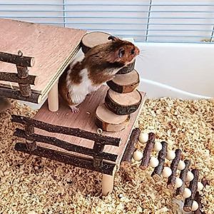 HEEPDD Wooden Hamster Platform, 2 Tier Small Pets Climbing Platform with Fence Ladder for Hamster Gerbil Mice Bird Guinea Pig