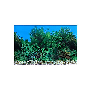 POPETPOP Fish Tank Background - 2 Sided Aquarium Wallpaper Aquarium Background Sticker Tank Decoration - 30x42cm