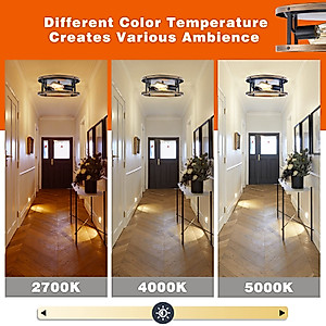 2 Pack Farmhouse Ceiling Light Fixture,Super Bright E26 Base 2-Light Hallway Light Fixtures Ceiling,Anti-Corrosion Wood and Black Flush Mount Ceiling Light for Hallway, Kitchen,Entry,Porch Etc