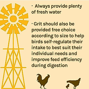 New Country Organics | Corn-Free Classic Layer Feed for Laying Hens | Corn-Free and Soy-Free | 17% Protein | Certified Organic and Non-GMO | 50 lbs