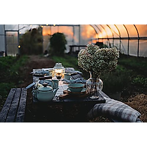 Barebones Enamel Bowls- Dishes Set of 2- Formal Enamel Bowl and Enamelware Set for Camping and Everyday Use- Mint