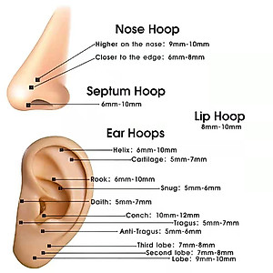 LOVEBODYJEWELRY 18g 8mm Hinged Hoop Nose Ring Gold Septum Ring Clicker 316L Surgical Steel Nose Hoop 18 Gauge Cartilage Earring Nose Piercing Body Jewelry Helix Daith Tragus Earrings Lip Rings