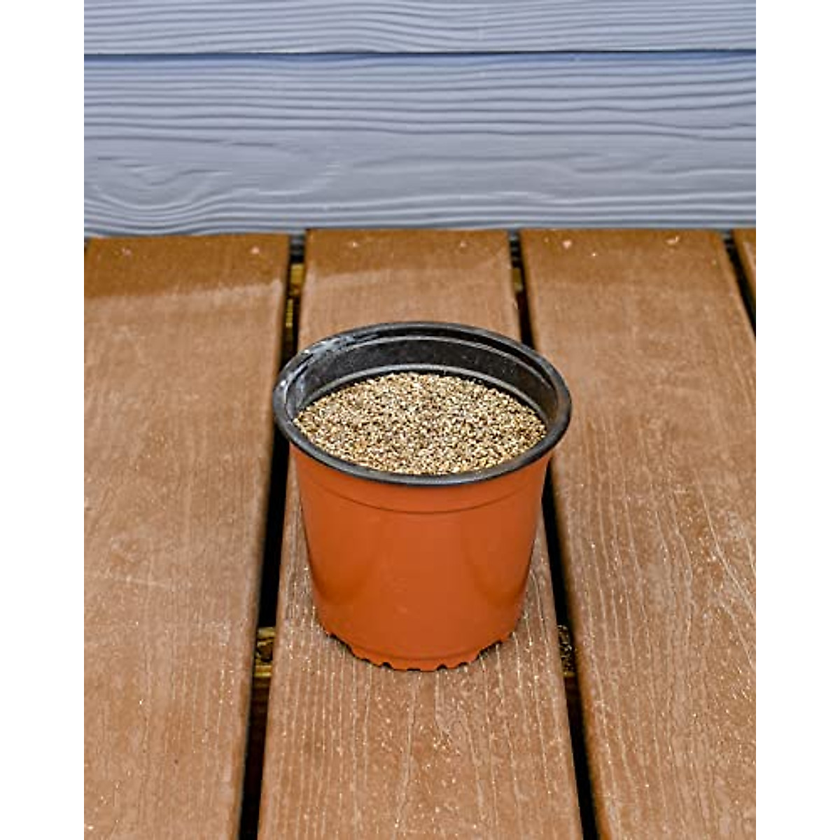 All Natural Vermiculite Soil Additive (1 Quart); Medium Grade Horticulture Soil Amendment for Plants, Terrariums, Orchids