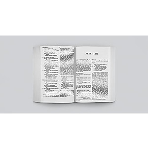 ESV Economy Bible, Giant Print