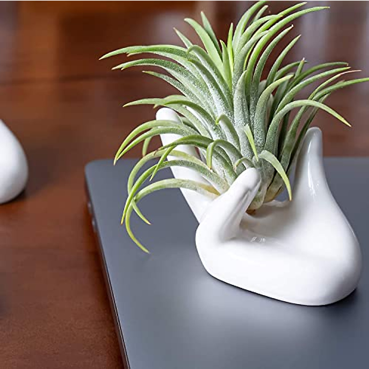 Dingq 2 Pack Air Plant Holder,Hand Shape Stand,Cute Levitating Plant Container,Pot Tillandsia Planter for Home Decoration, White (fZa500116)