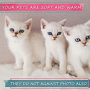 Baby Photo Shoot Props White Blanket - 23.6 x 19.7IN White Fur Blanket Baby Fur Photography Props for Photoshoot Baby Photo Blanket - Newborn Photography Props White Faux Fur (FLUFF BEFORE USE)