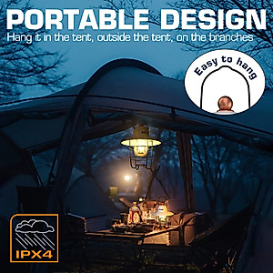 EverBrite LED Camping Lantern Pack of 2, USB C Rechargeable Lantern with 3 Light Modes, Vintage Outdoor Lanterns with Power Bank Function for Power Outages, Hurricane, Emergency, Fishing