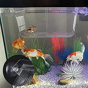 FVIEXE 4PCS Fish Breeder Box for Fish Tank, Acrylic Aquarium Fish Isolation Breeding Box with Suction Cups Acclimation Hatchery Incubator for Baby Fishes Guppy Shrimp Clownfish Betta, Medium Size