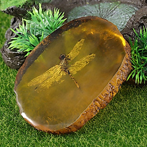 Amber,Artificial Amber Specimen Pendant Butterfly Scorpions Insects Amber Stone Ornament for Collection(Dragonfly)