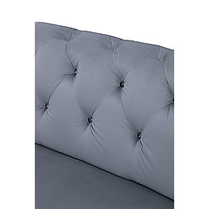 ACME Sofa, Gray Velvet