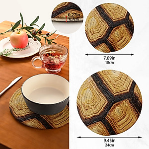Turtle Shell Trivet Pot Holder Carapace Print Round Woven Potholders Set Kitchen Placemats 2PCS Cotton Rope Table Hot Pads Stylish Coasters Heat Resistant for Hot Dishes Baking Cooking Cups Dinning