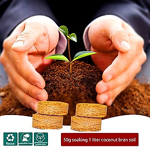 Iceyyyy 60pcs 40mm Compressed Coco Coir Fiber Potting Soil - Expanding Organic Coco Coir Pellet Fiber Soil, Peat Soil Pellets Seeds Starting Plugs for Planting (60, 1.57Inch)