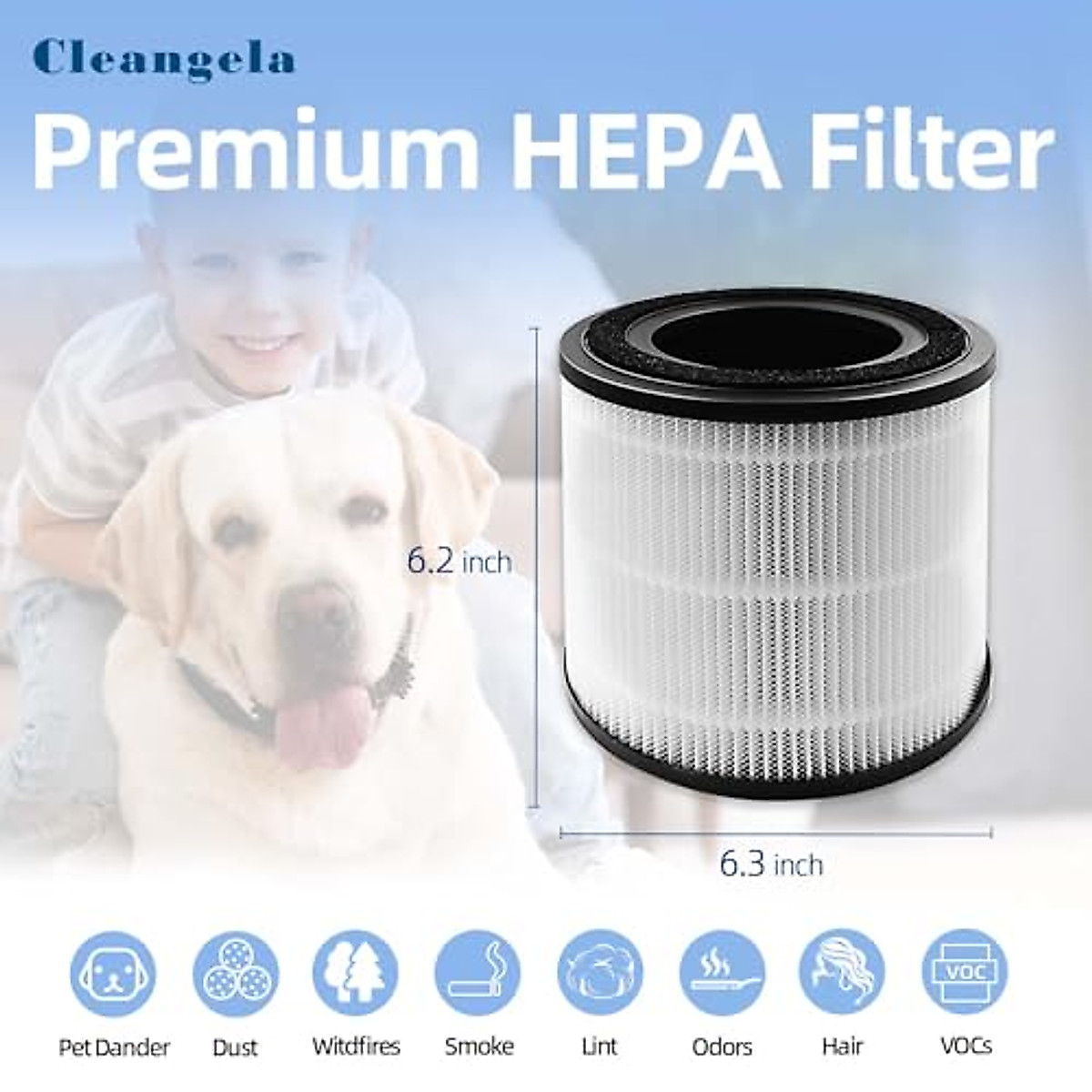 Cleangela 2-PACK 3069 Replacement Filter for BISSELL MYair Pro Air Purifiers 3139A 3139B, 3-in-1 H13 True HEPA and Carbon Air Filter, Part Number 3069