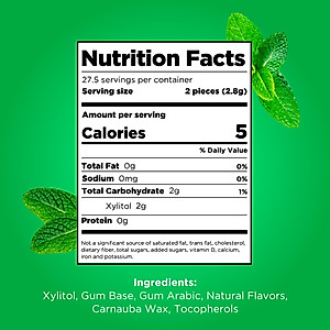 PUR Gum | Aspartame Free Chewing Gum | 100% Xylitol | Natural Spearmint Flavored Gum, 55 Pieces (Pack of 3)