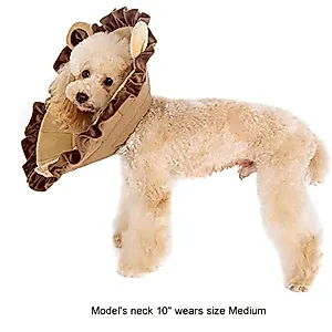 Alfie Pet - Noah Recovery Collar (for Dogs and Cats) - Pattern: Lion, Size: XS