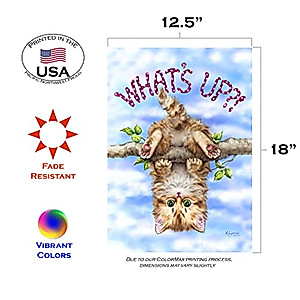 Toland Home Garden 1110807 What's Up Cat Flag 12x18 Inch Double Sided Cat Garden Flag for Outdoor House Kitten Flag Yard Decoration