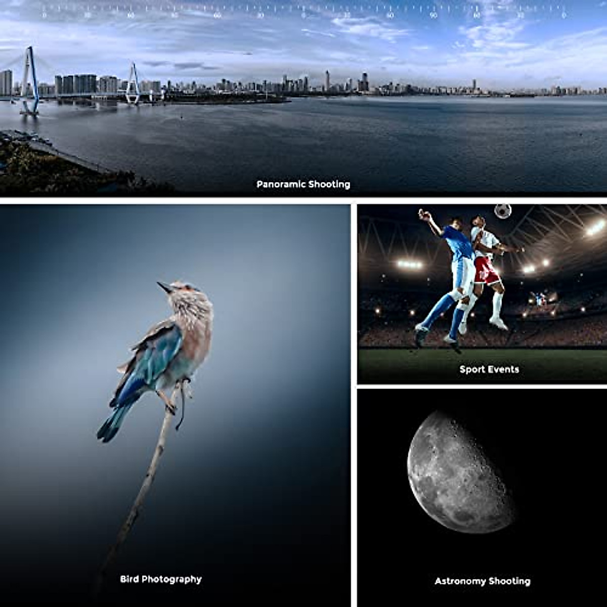 Neewer Professional Heavy Duty Metal 360 Degree Panoramic Gimbal Tripod Head with Standard 1/4'' Quick Release Plate and Bubble Level for DSLR Cameras up to 30lbs/13.6kg