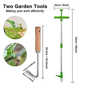 Weed Puller Tool - Stand Up Heavy Duty Weeder Hand Tool - Standing Weed Root Removal Tool Plucker Dandelion Puller - 39" Long Handle Garden Weeding Tool with 3 Claws for Garden Backitchen