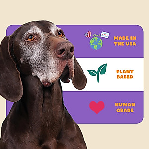 Petipet Hip and Joint Supplement for Dogs - Glucosamine and Tumeric Treats - Anti-Inflammatory Chews for Joint Health Support, Arthritis, Pain Relief - For Large and Small Breeds, Senior Dogs, Puppies