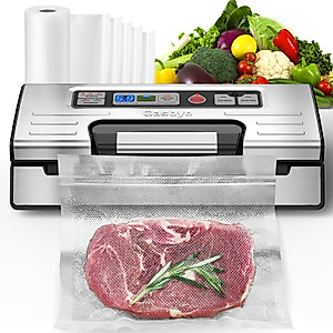 Gasbye Vacuum Sealer Machine, 90kPa Food Sealer with Double Heat Seal for Dry/Moist Food, Easy-lock Handle, Built-in Bag Storage & Cutter, Progress Display, Removable Drip Tray, Silver