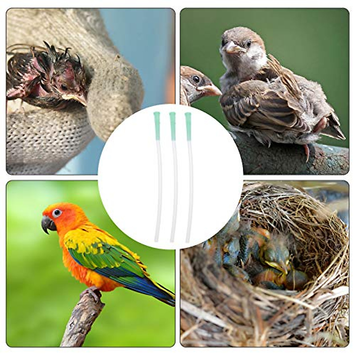 Parrot Feeding Syringe Birds Feeding Hoses, soft birds feeding hose 3pcs Parrot Feeding Hose Tool Birds Feeding Dropper Feeding birds feeding accessory Tube bird feeder Pet Feeder