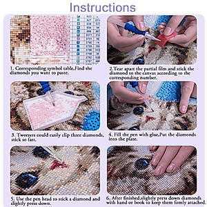 Huacan Diamond Painting Kits for Adults Square Full Drills Home Wall Decor Angel Pattern,30x40cm/11.8x15.8in