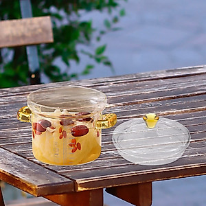 CALLARON Pots for Cooking with Lids Saucepan with Cover Simmer Pot Milk Pot -resistant Stovetop Pot And Pan with Lid for Soup Milk Baby Food 450ml