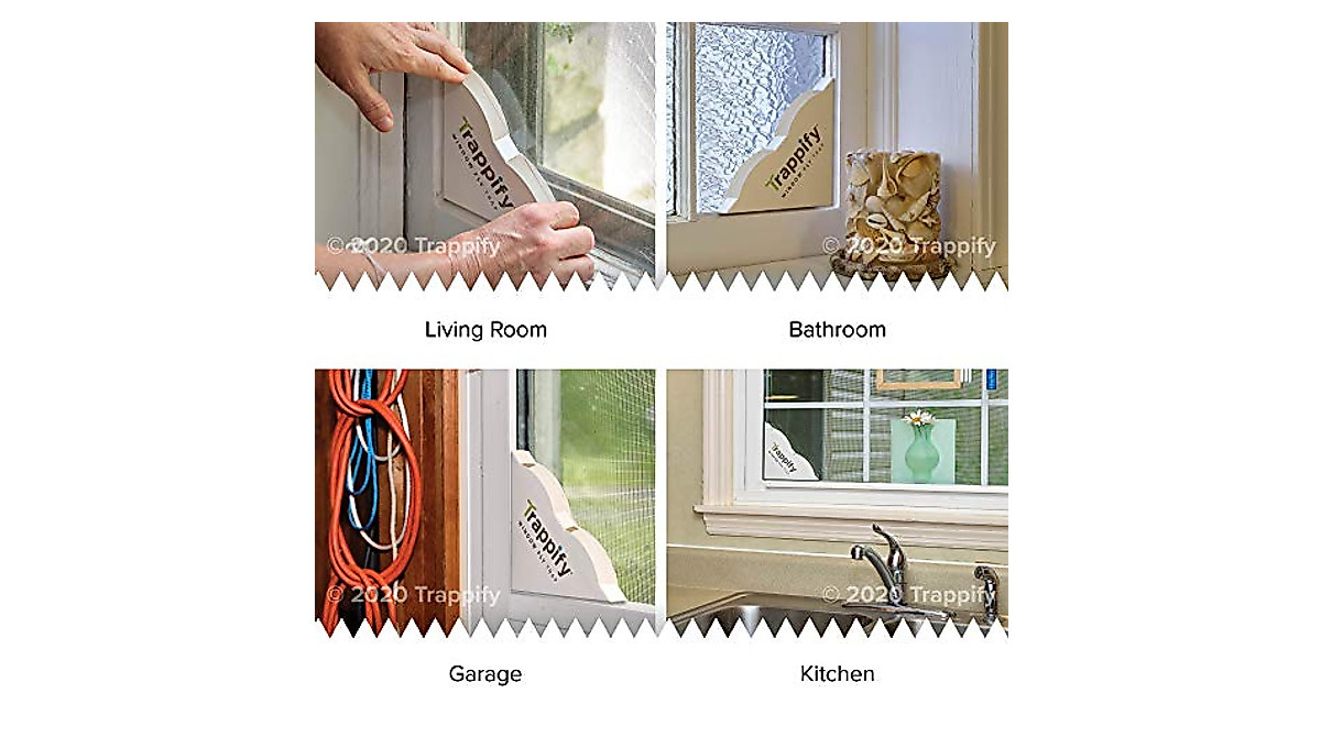 Trappify Sticky Fly Traps - Eco-Friendly Pest Control for Indoors ...