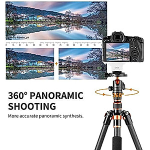 K&F Concept 60 inch Carbon Fiber Camera Tripod,Super Lightweight Compact Travel Tripod with 360 Degree Ball Head,Quick Release Plate,Detachable Monopod 8KG Load Capacity for SLR DSLR C225C0 (BA225)