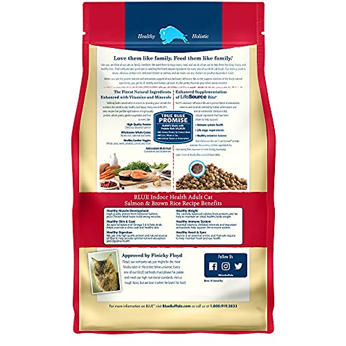Blue Buffalo Indoor Health Natural Adult Dry Cat Food, Salmon & Brown Rice 5-lb